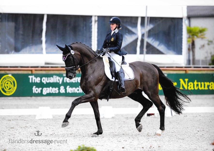 Manon CLAEYS | Equistro