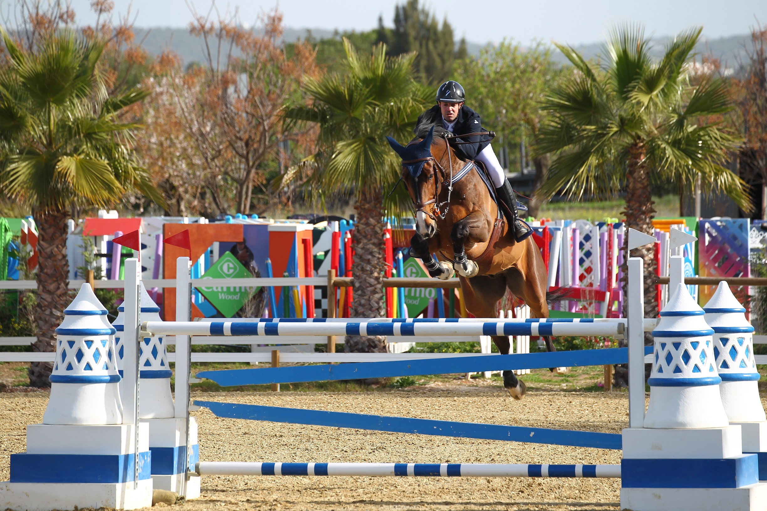 Mathieu Billot | Equistro